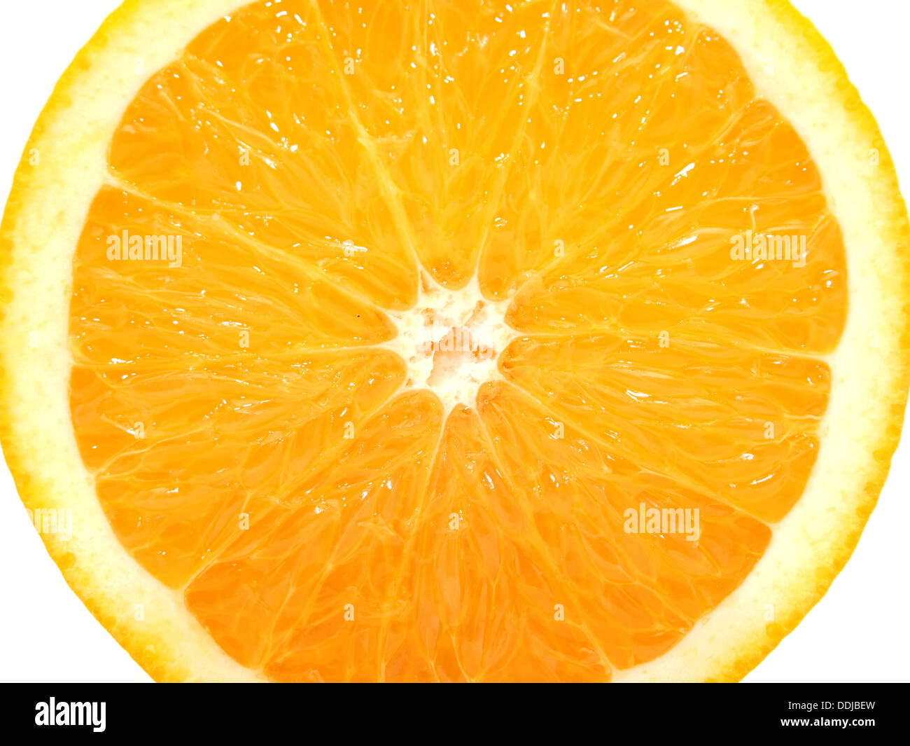 Orange on a white background Stock Photo - Alamy