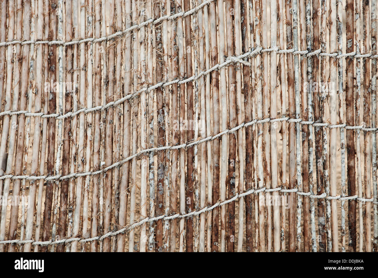 Mat rush hi-res stock photography and images - Alamy