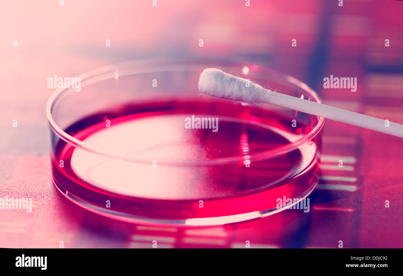 Dna analysis hi-res stock photography and images - Alamy