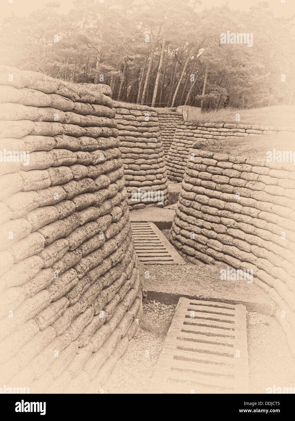 Trenches at Vimy Ridge , France Stock Photo - Alamy