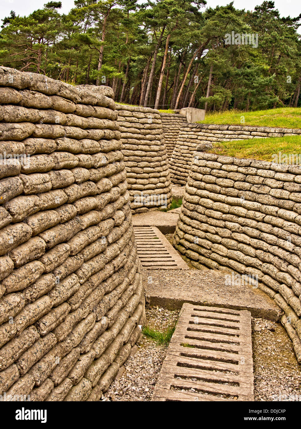 Vimy ridge trenches hi-res stock photography and images - Alamy
