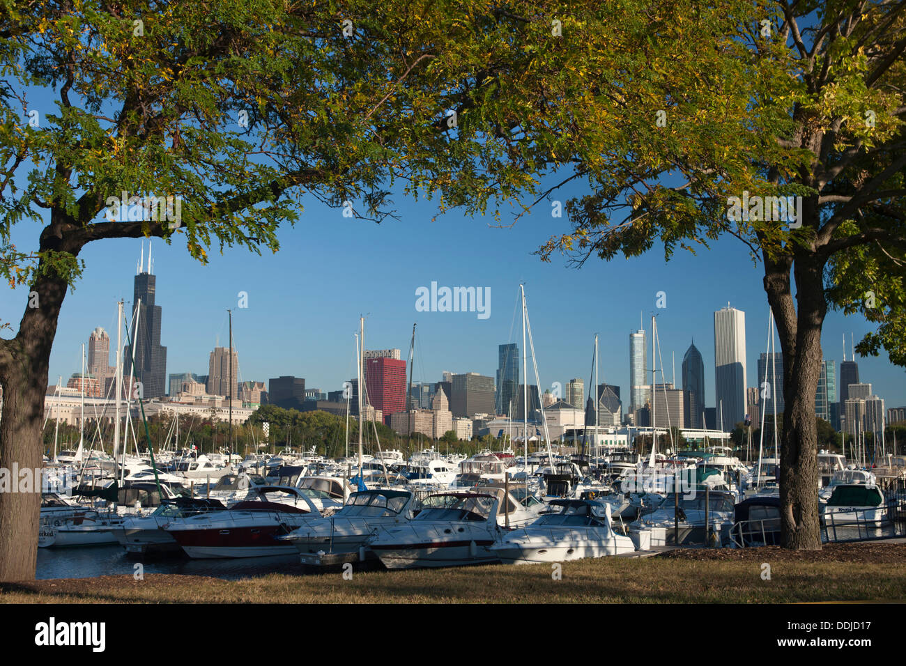 MARINA BURNHAM PARK HARBOR DOWNTOWN SKYLINE CHICAGO ILLINOIS USA Stock ...