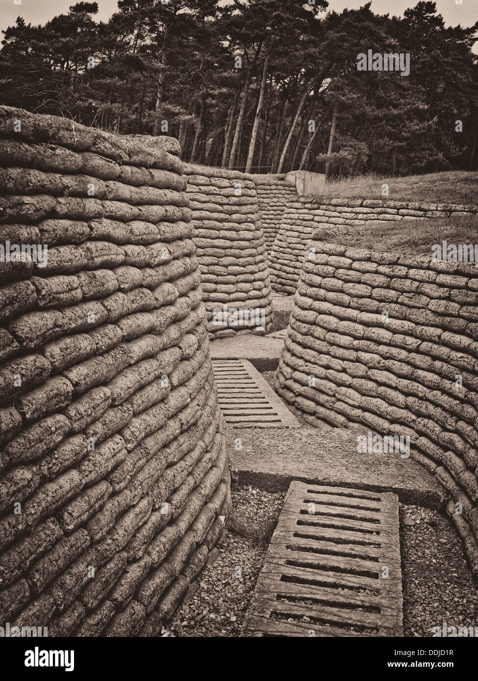 Trenches at Vimy Ridge , France Stock Photo - Alamy