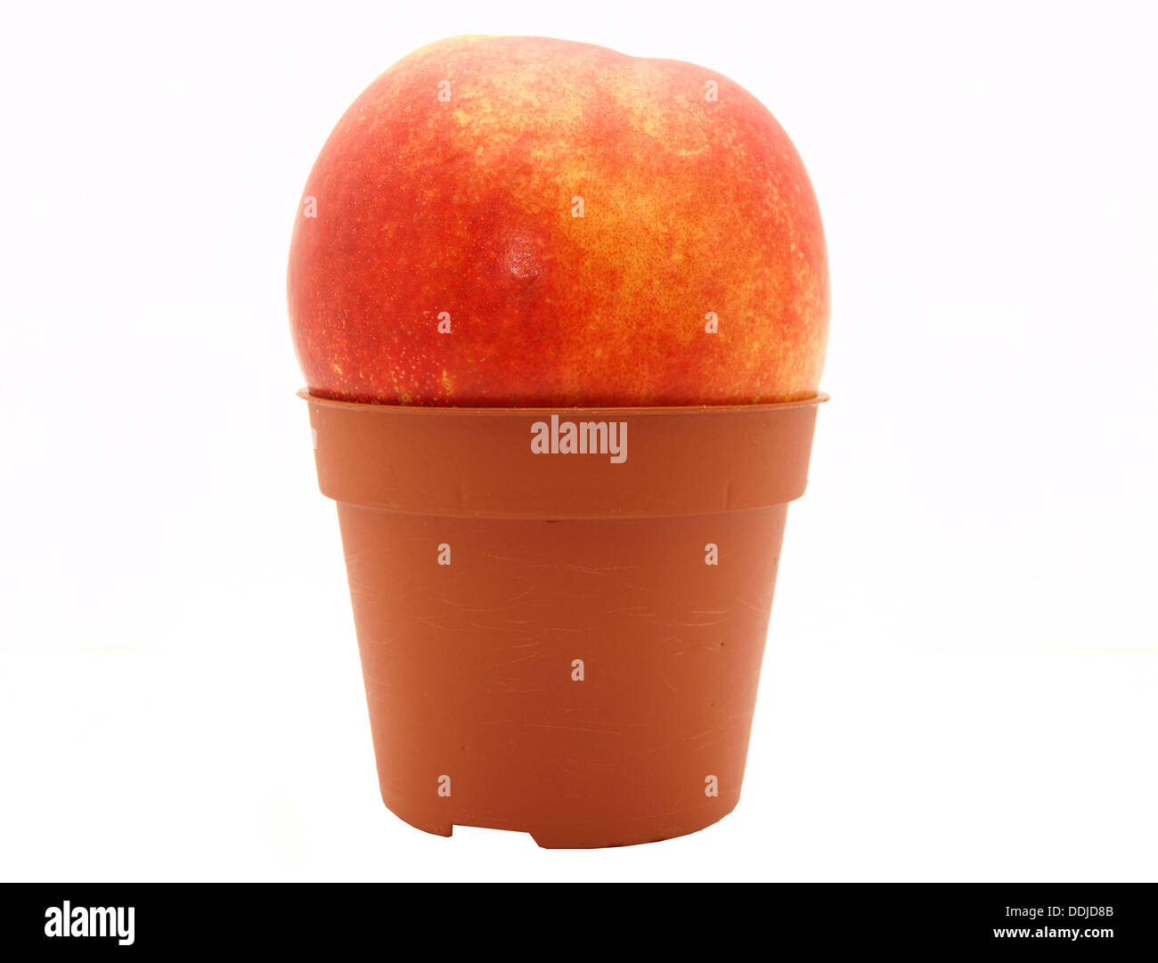 Peach pot hi-res stock photography and images - Alamy