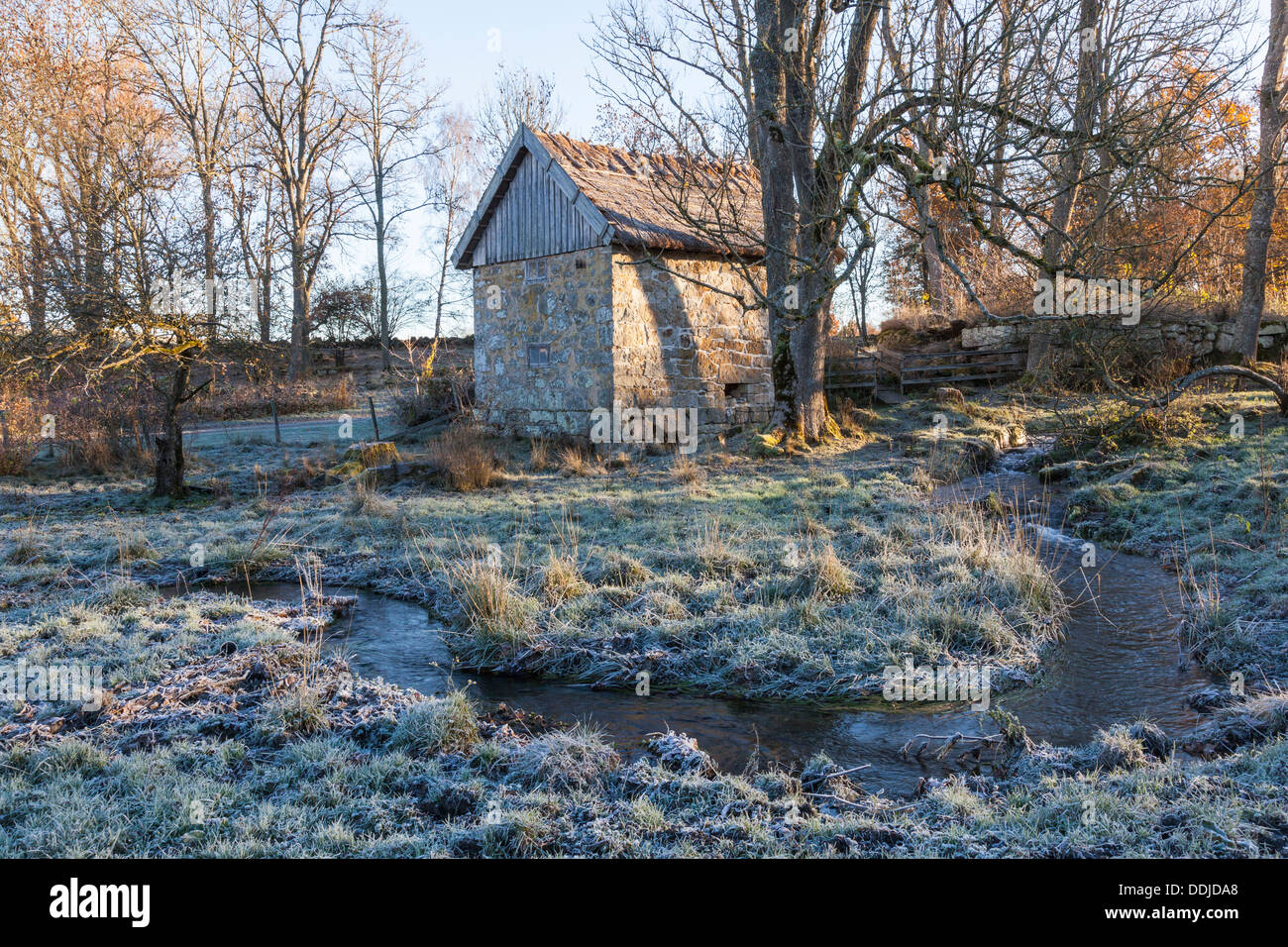 Old mill on a stream in the woods Stock Photo - Alamy