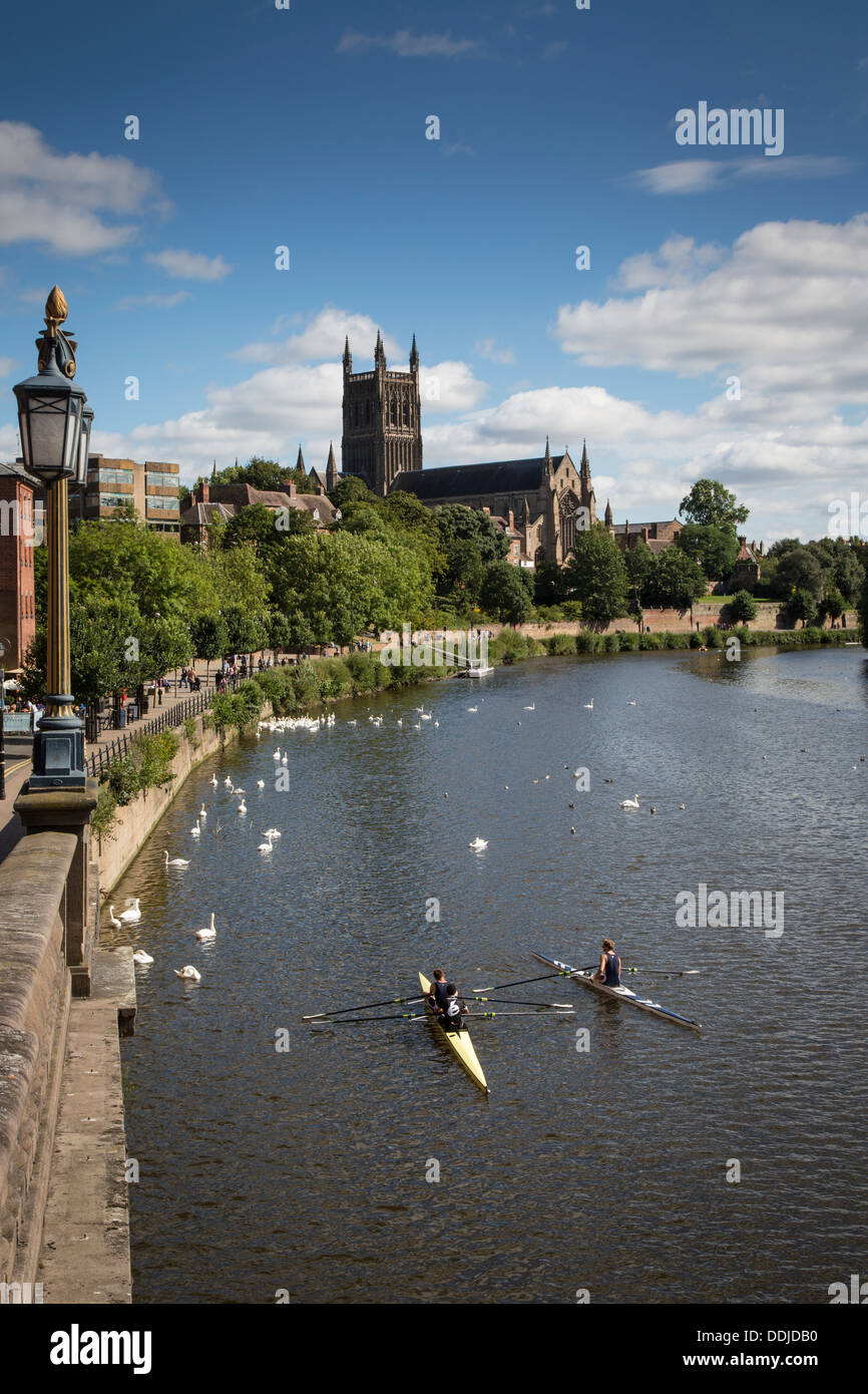 Worcester swan sanctuary hi-res stock photography and images - Alamy