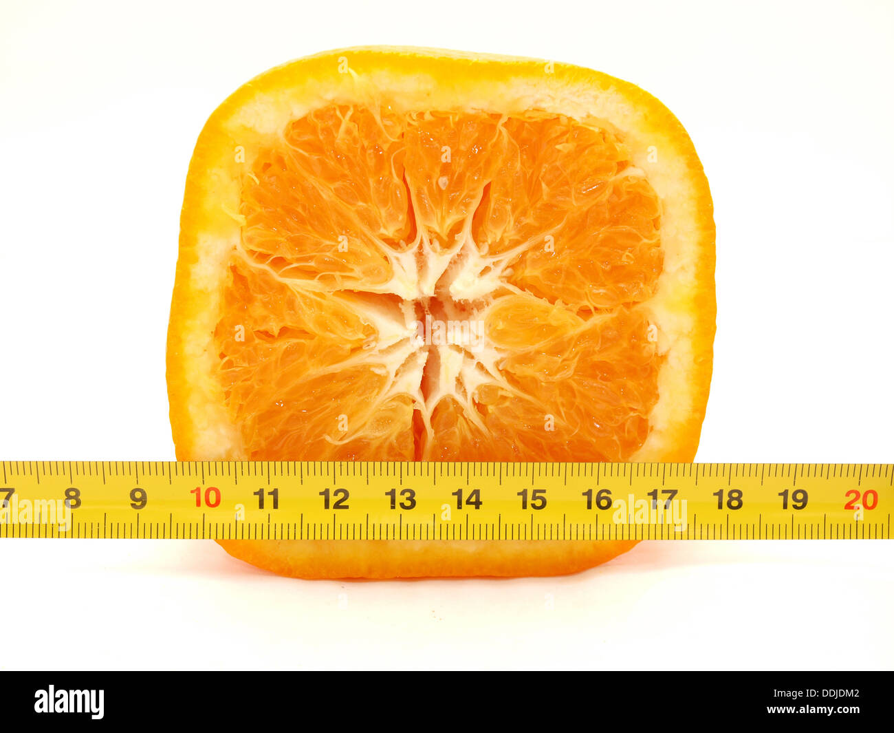 Square orange and roulette on a white background Stock Photo - Alamy