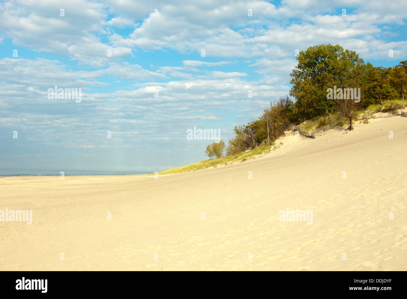 BEACH INDIANA DUNES STATE PARK DUNES NATIONAL LAKESHORE PORTER LAKE MICHIGAN INDIANA USA Stock beach-indiana-dunes-state-park-dunes-national-lakeshore-porter-lake-michigan-indiana-usa-stock
