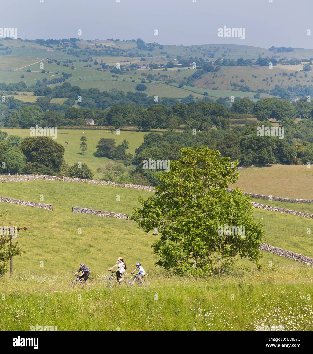Cycle path to in spring hi-res stock photography and images - Alamy