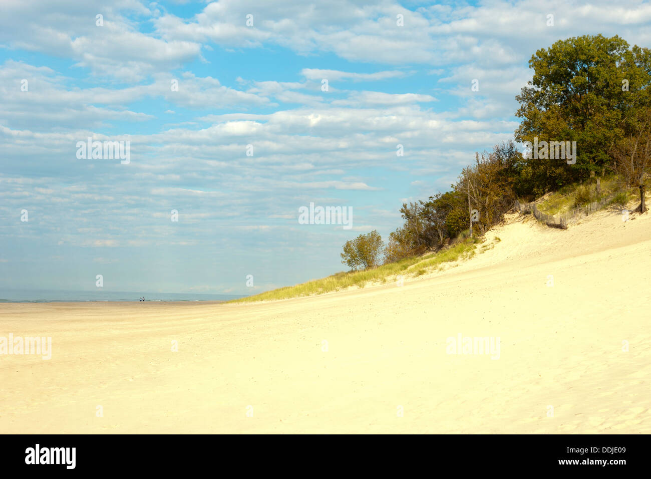 BEACH INDIANA DUNES STATE PARK DUNES NATIONAL LAKESHORE PORTER LAKE ...