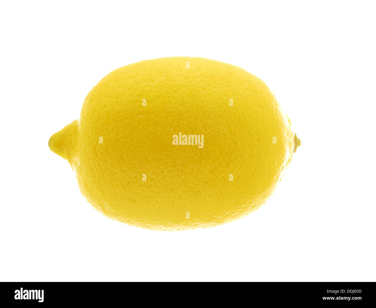 Lemon on a white background Stock Photo - Alamy