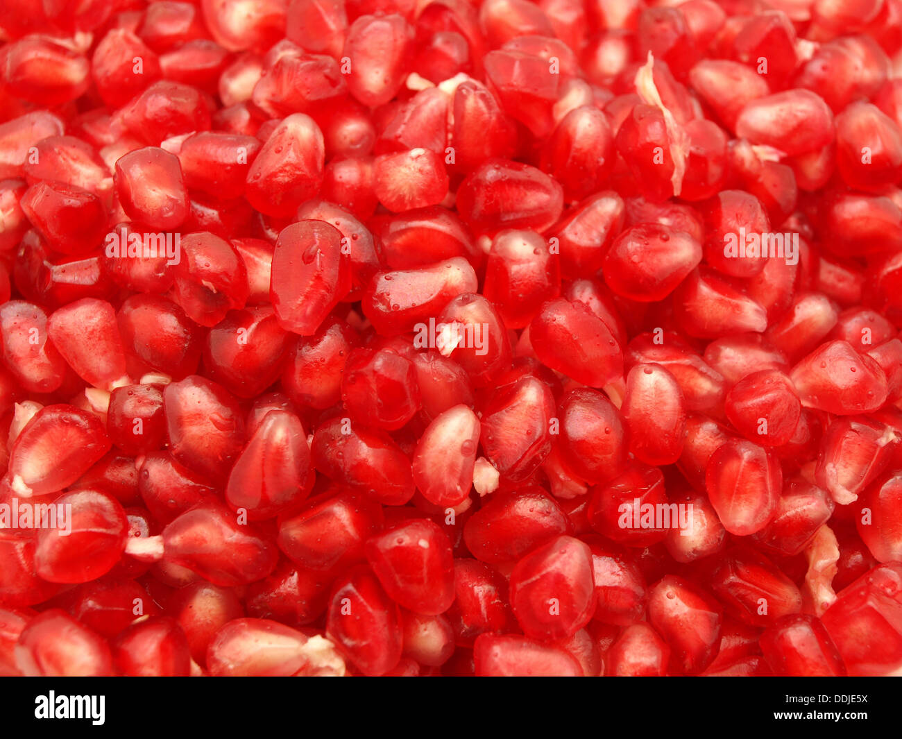 Red grains of a pomegranate. A background Stock Photo - Alamy