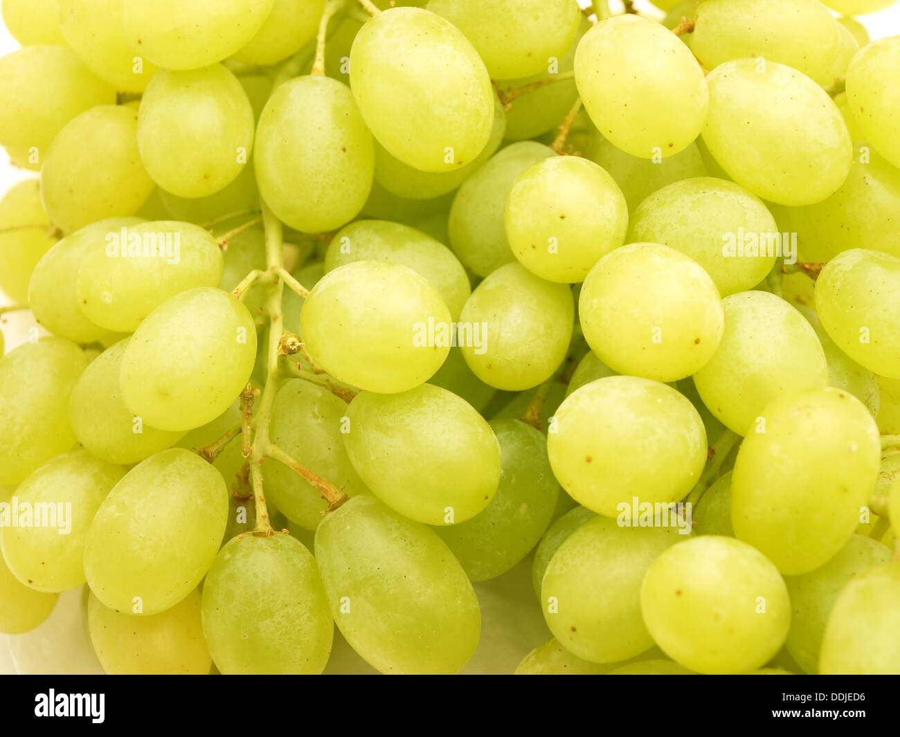 Grapes on a white background Stock Photo - Alamy