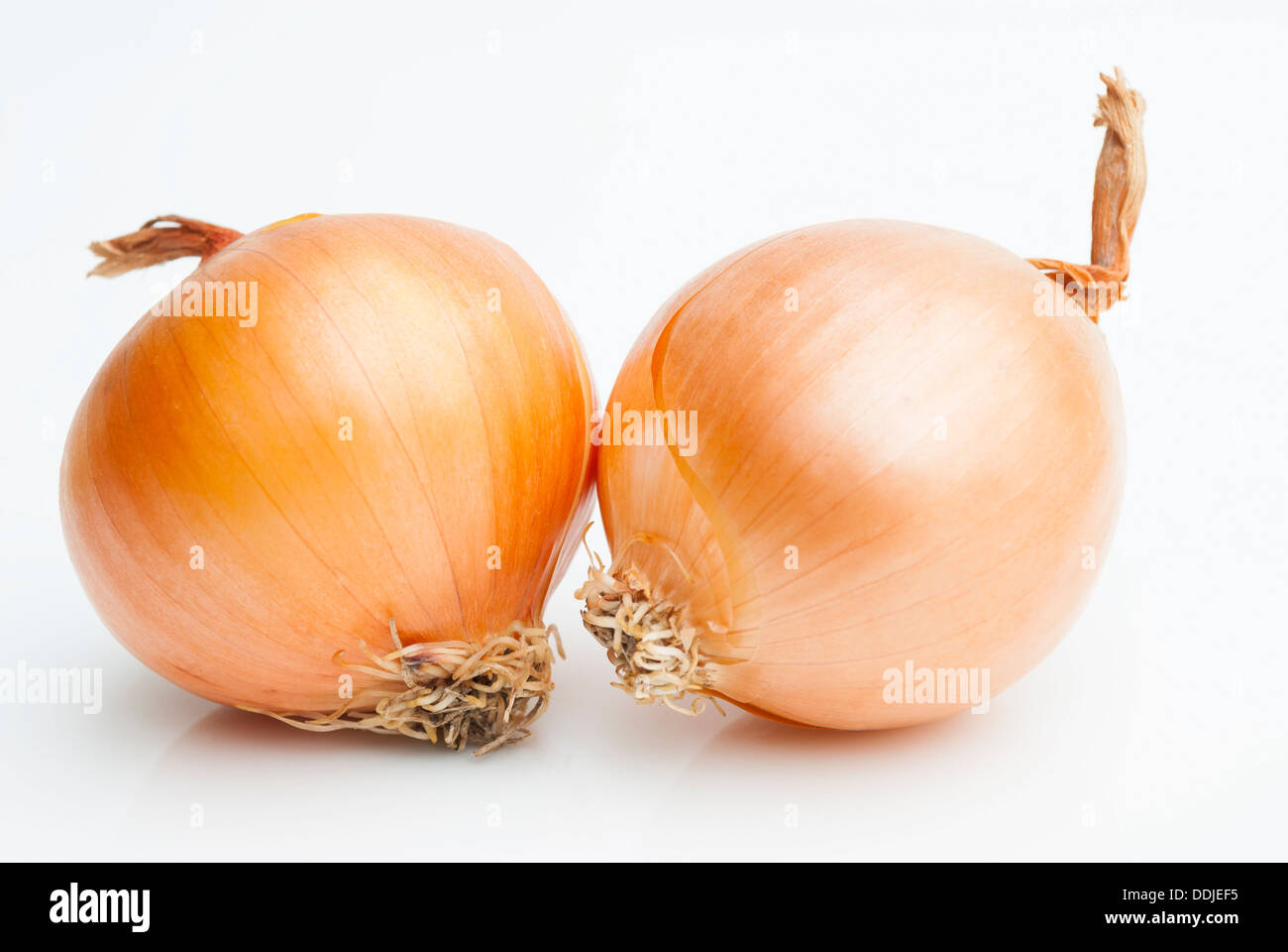 Two bulbs on a white background Stock Photo - Alamy