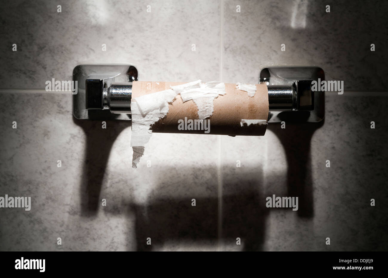 Toilet wc empty paper hi-res stock photography and images - Alamy