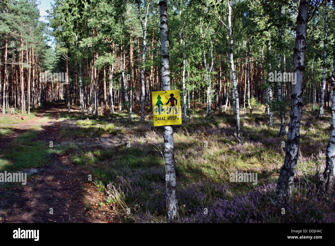 No entry prohibition forest danger Stock Photo - Alamy