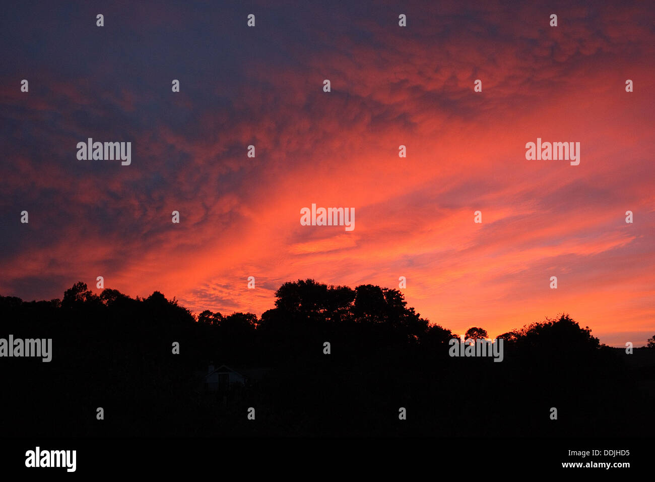 Sunsets in torquay hi-res stock photography and images - Alamy