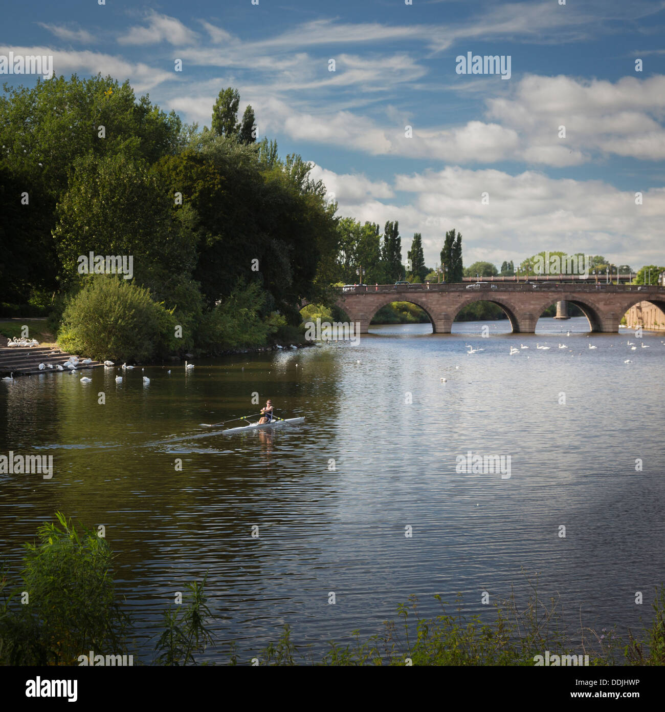 Man rowing on the river Severn Worcester Worcestershire England Stock ...