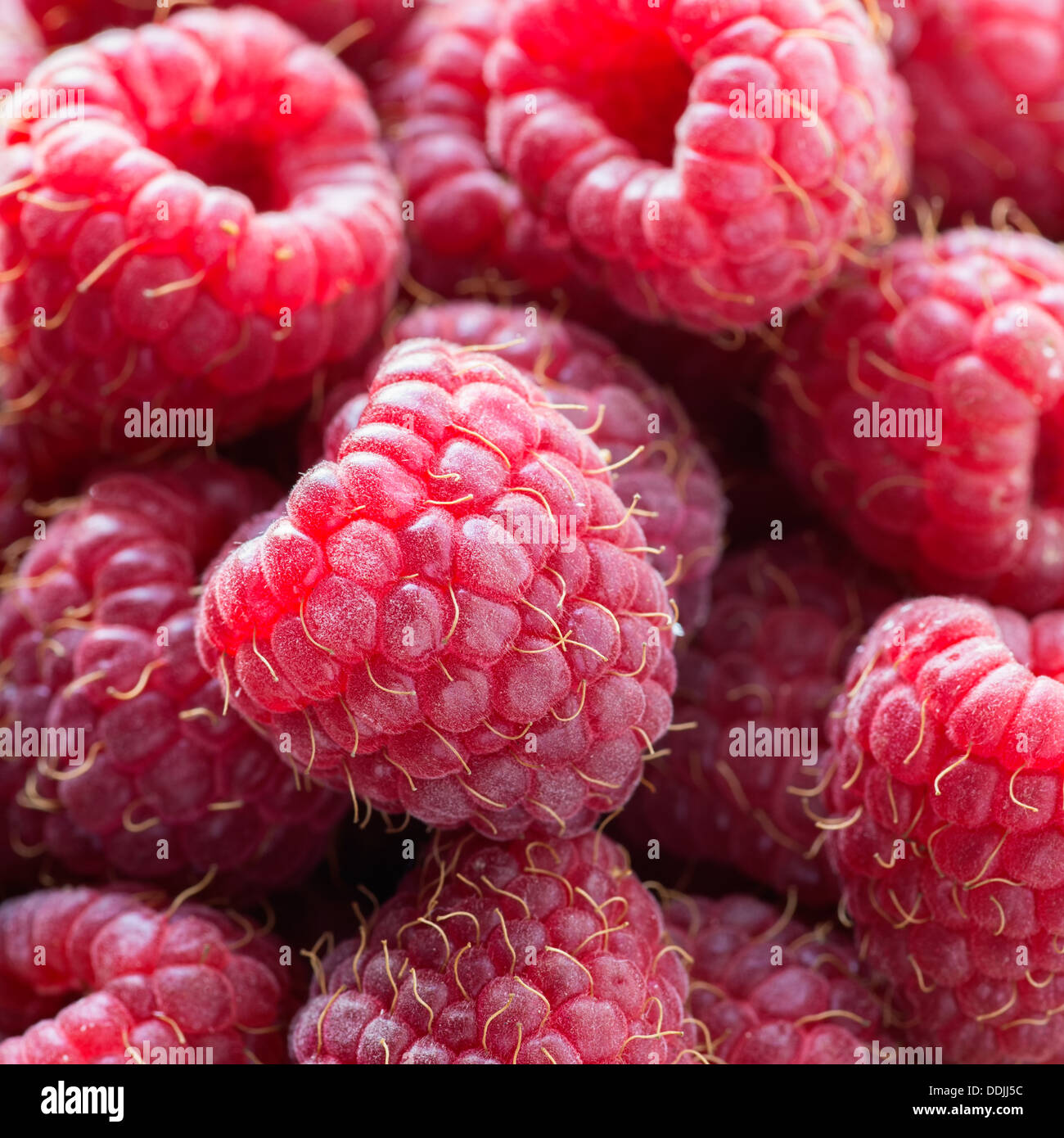 Raspberries background hi-res stock photography and images - Alamy