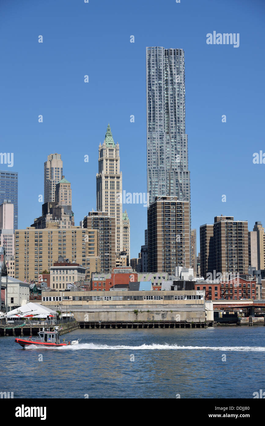 American spruce hi-res stock photography and images - Alamy