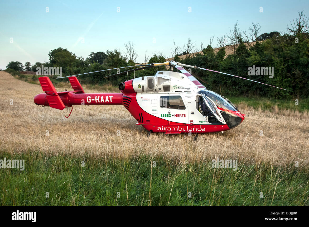 South Benfleet, Essex, UK. 3rd September 2013. adjacent to Essex Way a ...