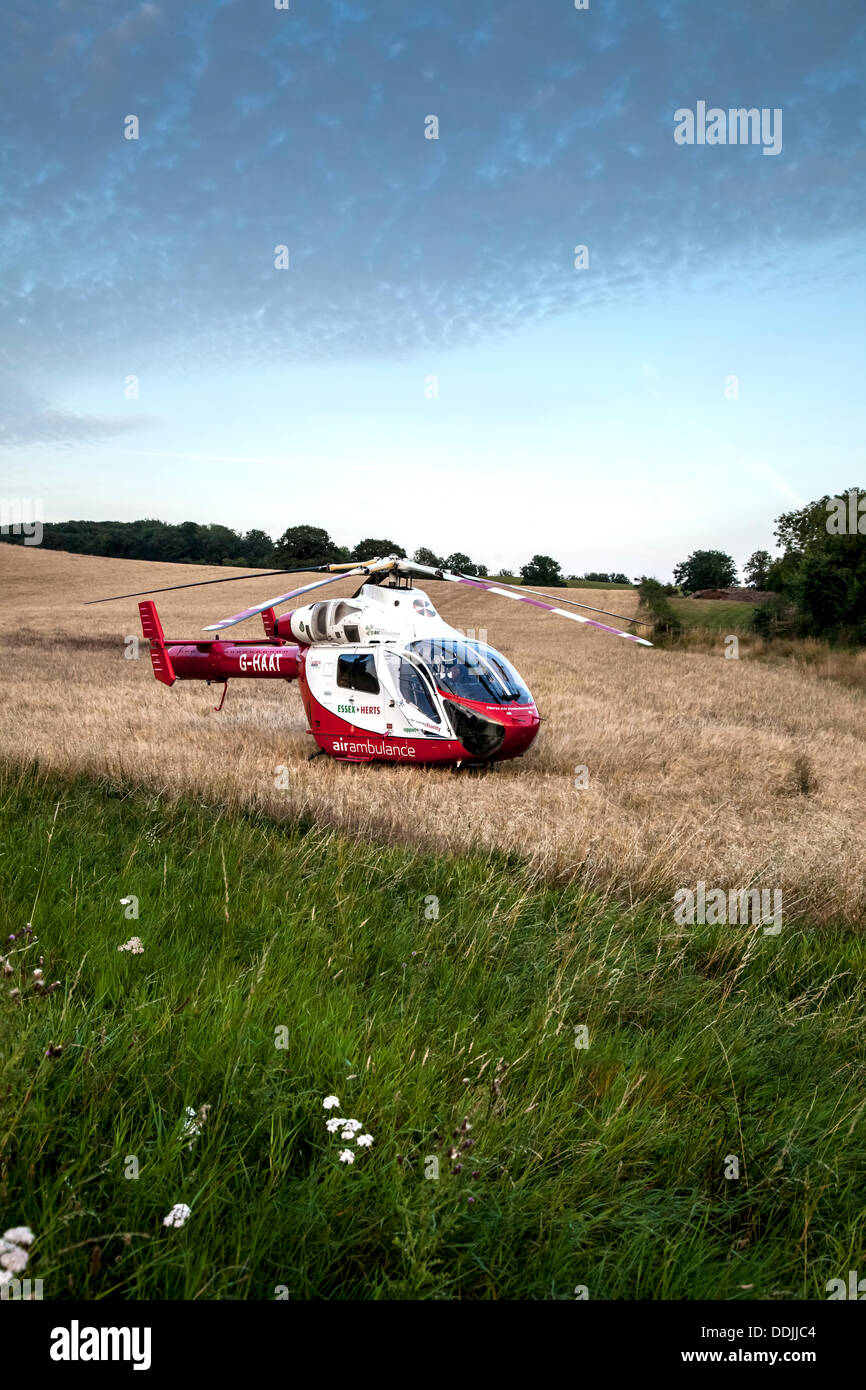 South Benfleet, Essex, UK. 3rd September 2013. adjacent to Essex Way a ...
