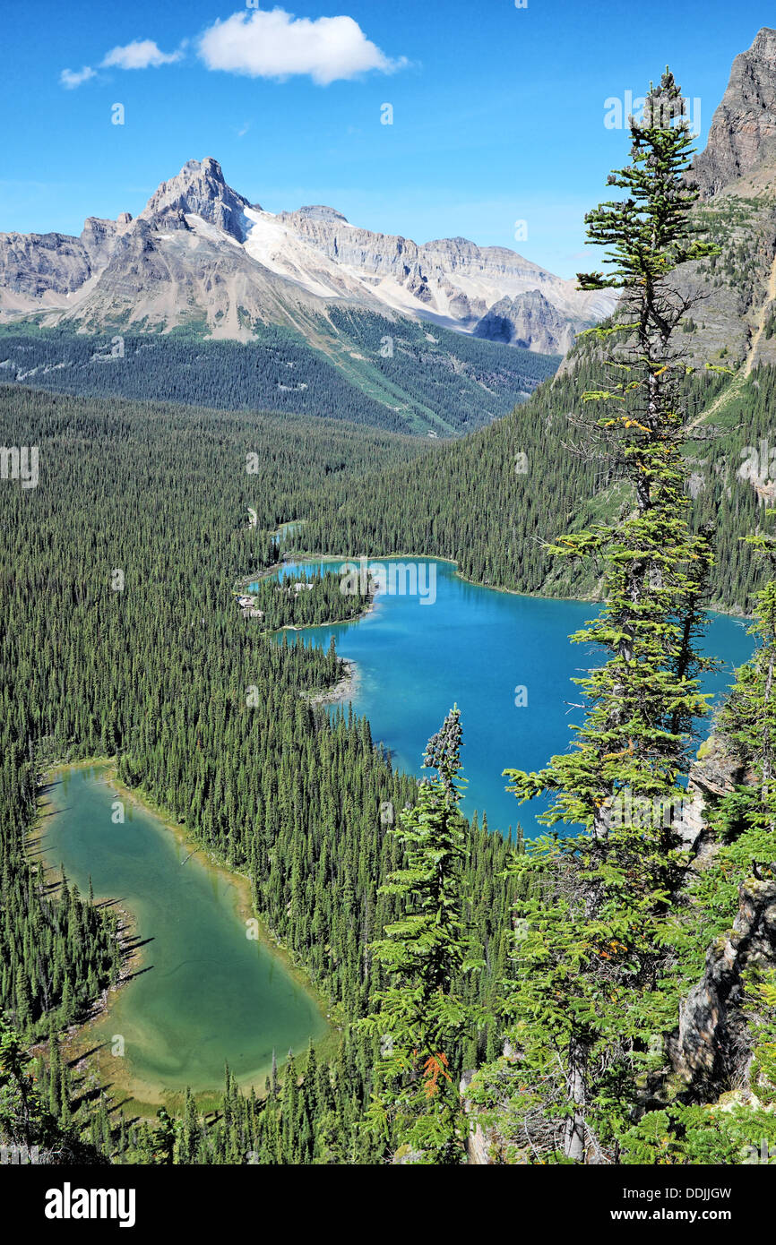 Mountains reflected in a clear calm alpine lake Stock Photo - Alamy