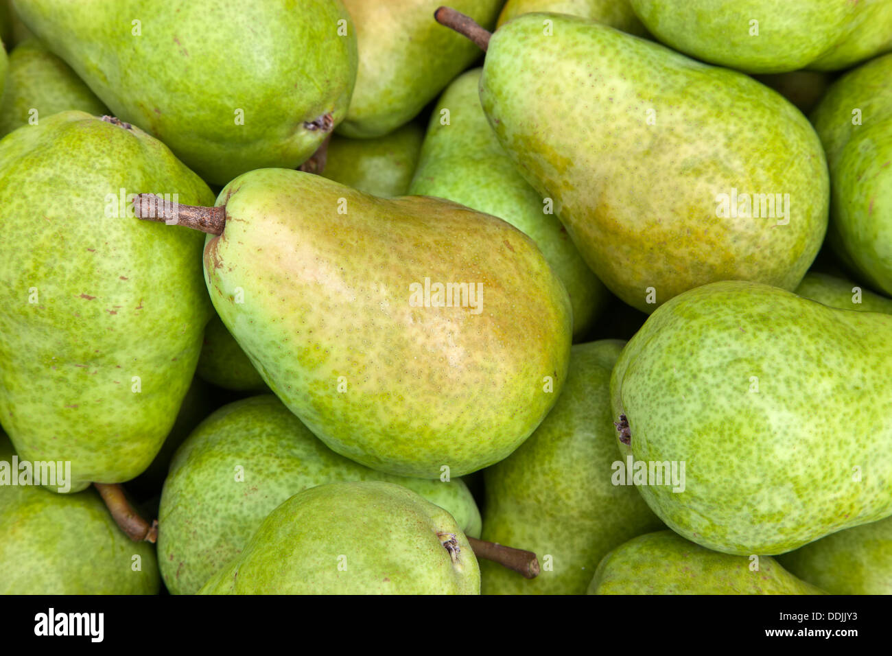 Pear pyrus communis variety hi-res stock photography and images - Alamy