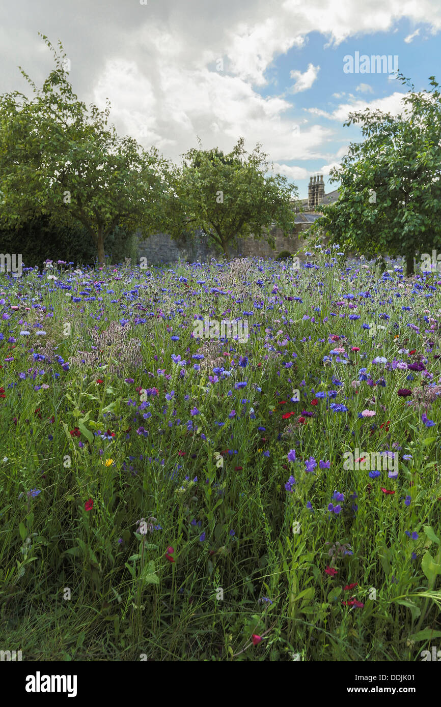 Ripley castle hi-res stock photography and images - Alamy