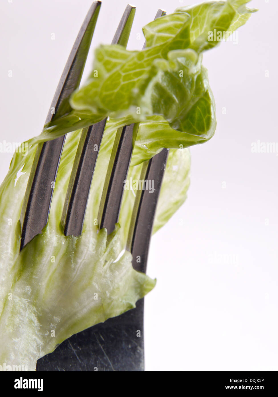 A piece of lettuce is struck on a upright fork Stock Photo - Alamy