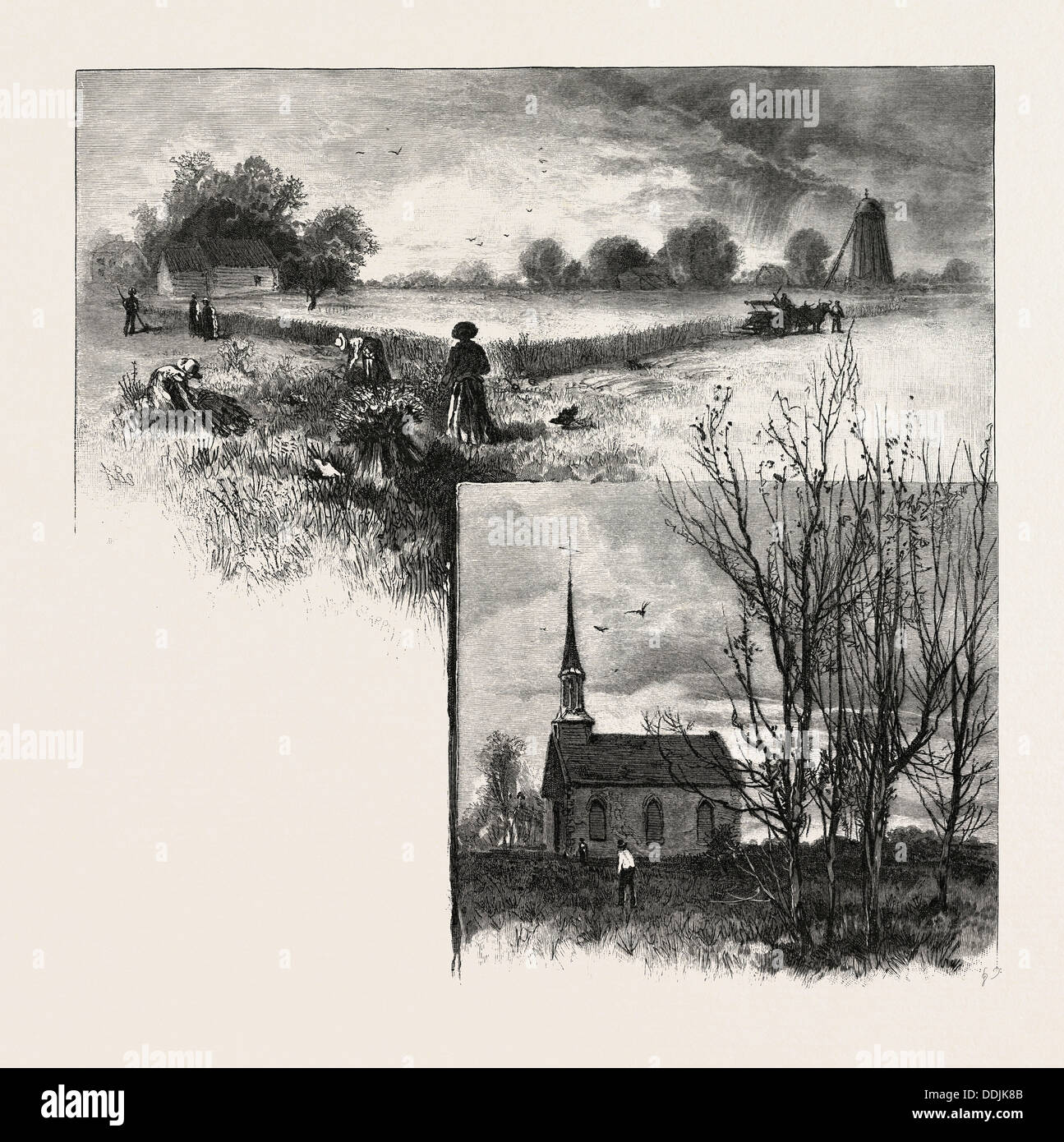 Canada farm 19th century hi-res stock photography and images - Alamy