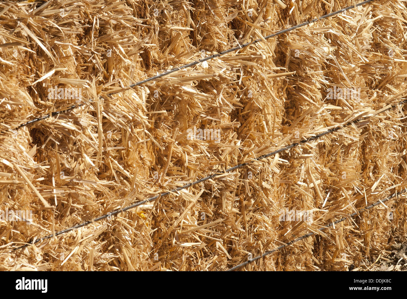 Hay Bail Stock Photos & Hay Bail Stock Images - Alamy