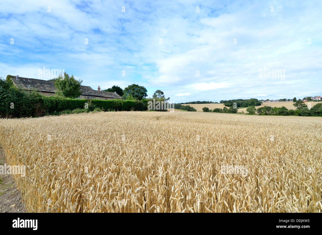 Billinge lancashire hi-res stock photography and images - Alamy