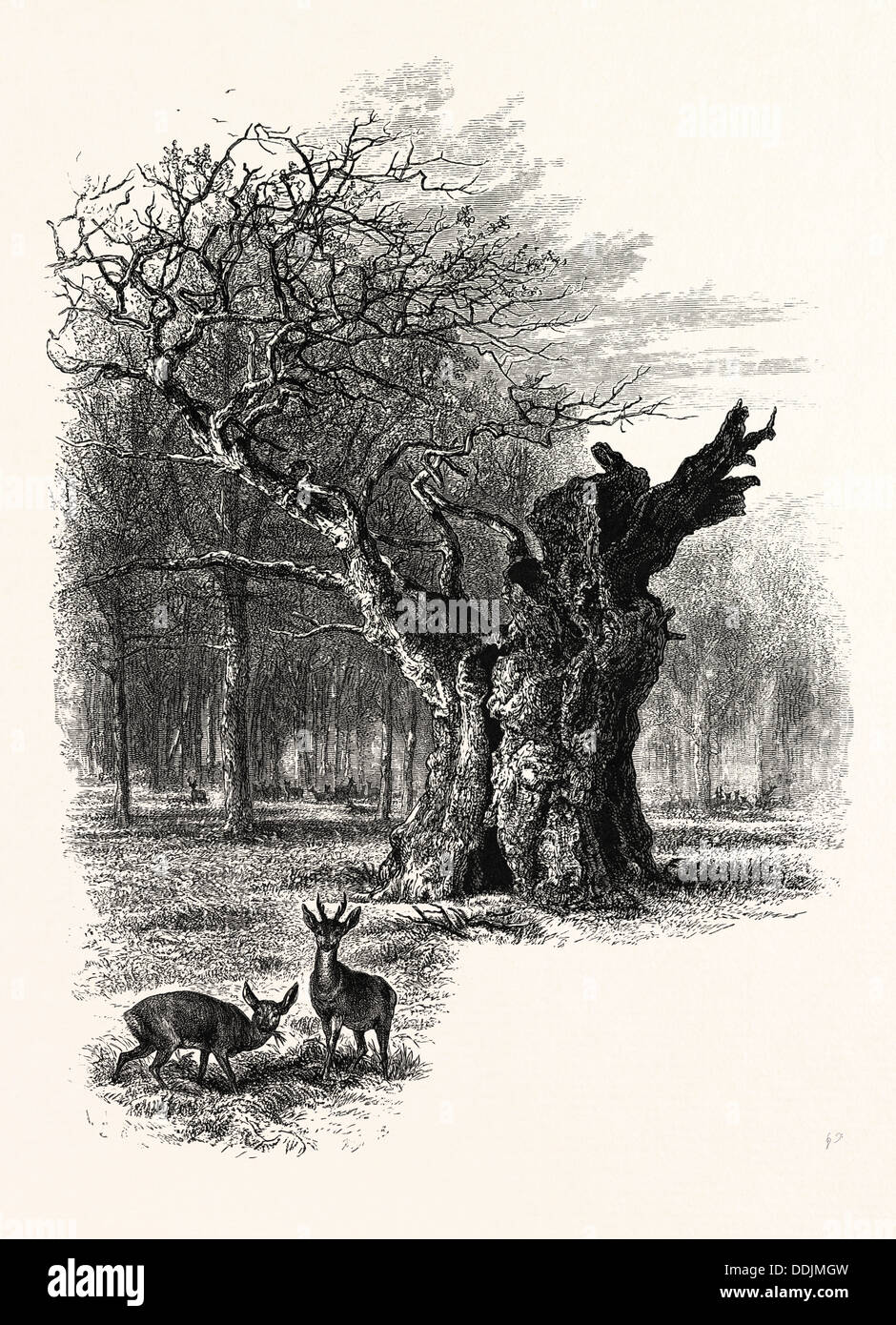 Cranbourne tower hi-res stock photography and images - Alamy