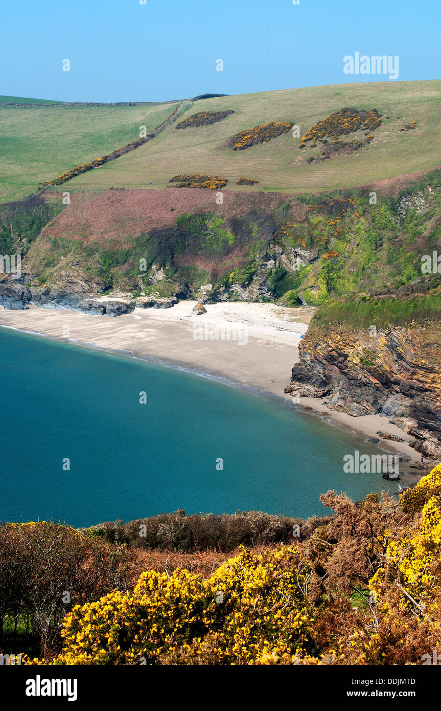 Lantic bay in south east cornwall, uk Stock Photo - Alamy
