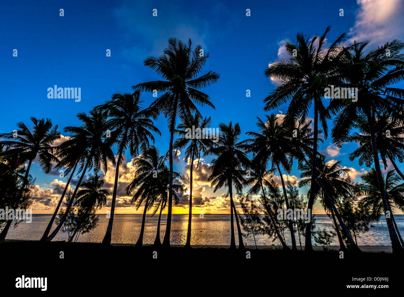 Sunset sunset clouds trees scenic islands in the tropics hi-res stock ...