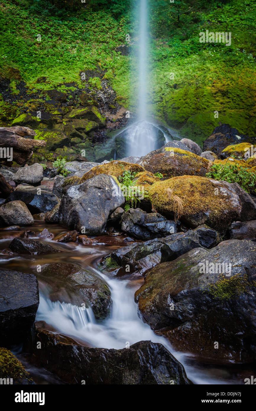 Elowah Falls in the Columbia River Gorge area, Oregon, USA Stock Photo ...