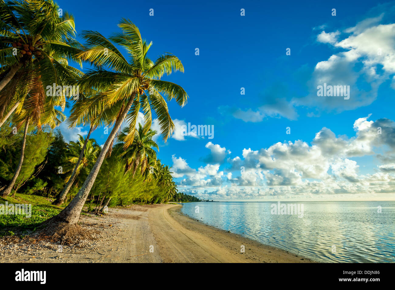 COOK ISLANDS: deserted tropical white sandy beach with turquoise water ...