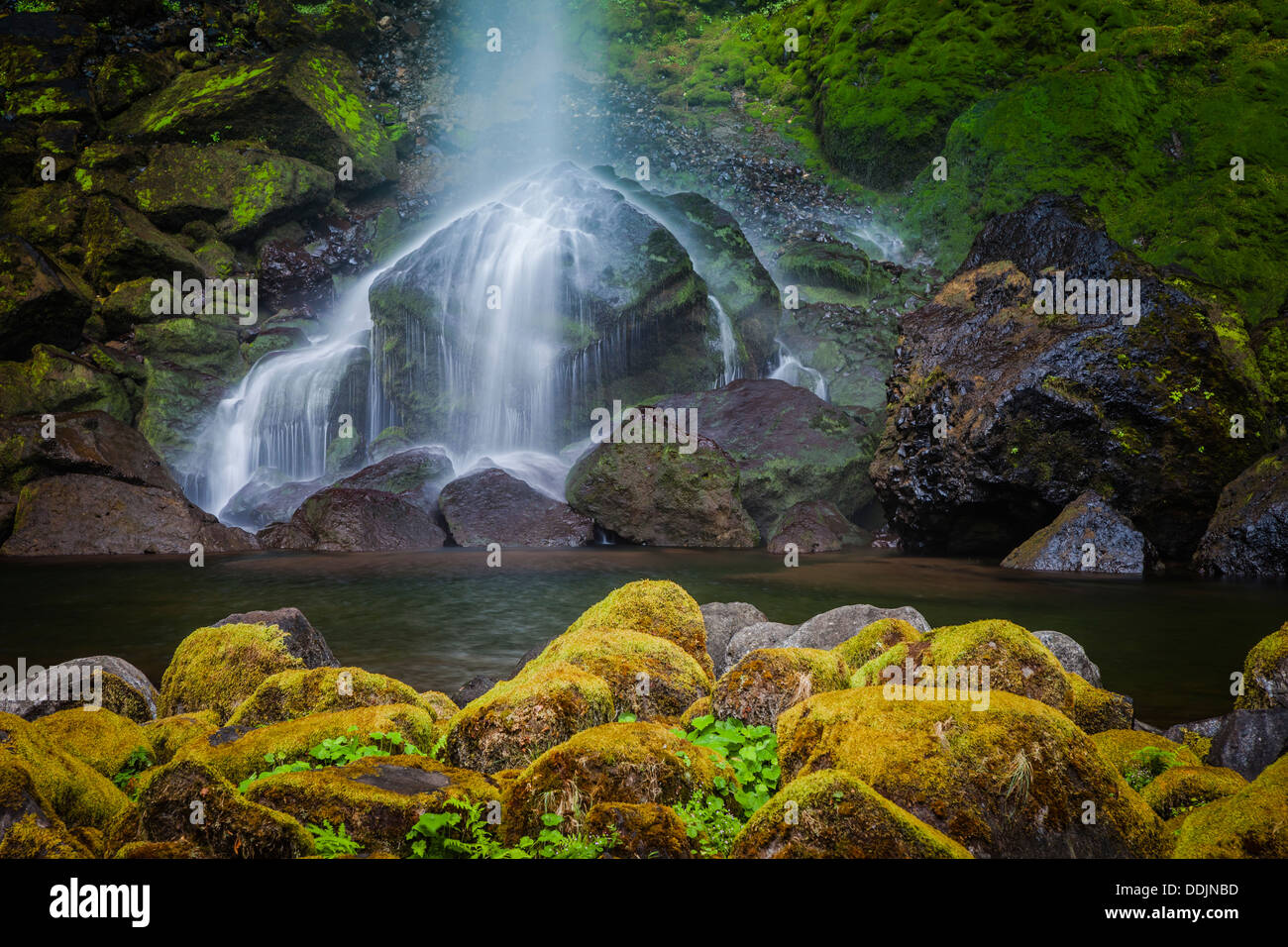 Elowah Falls in the Columbia River Gorge area, Oregon, USA Stock Photo ...