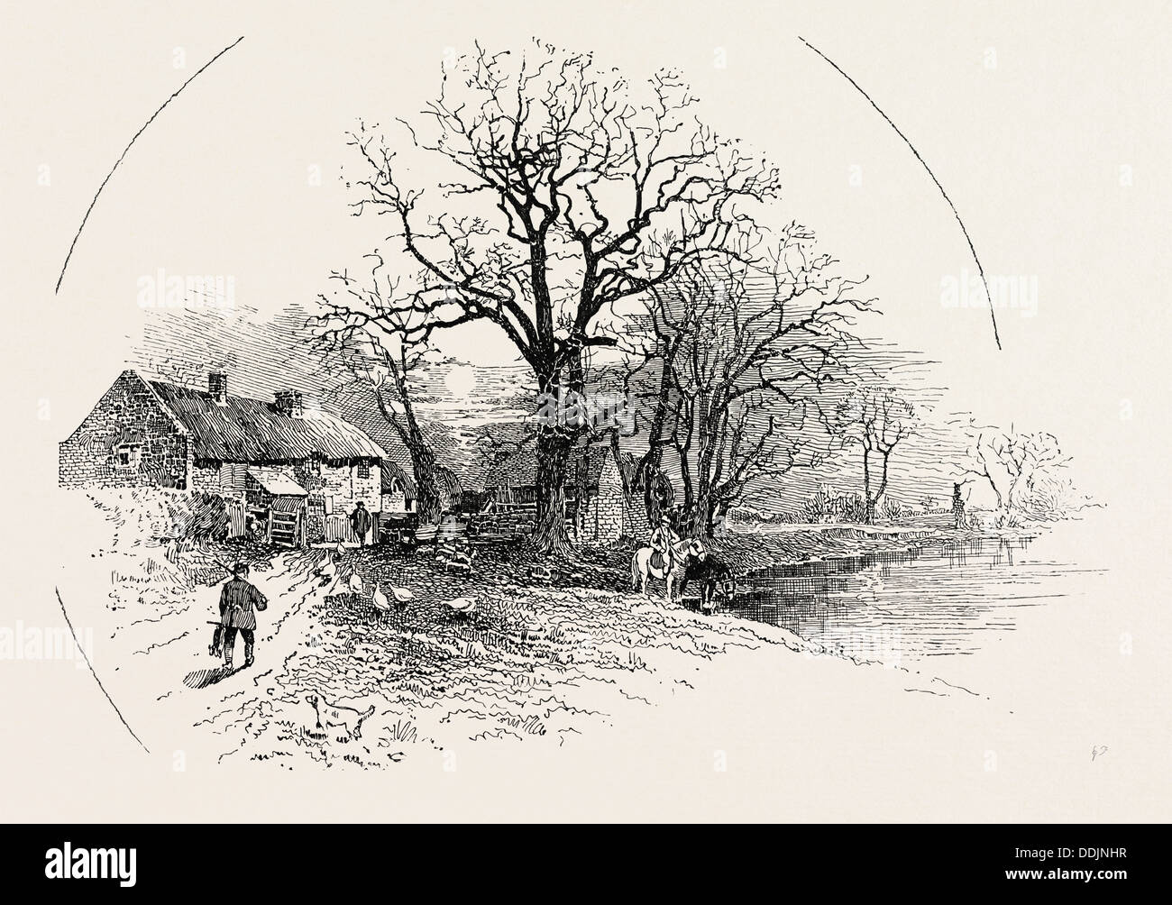 Engraved crow hi-res stock photography and images - Alamy