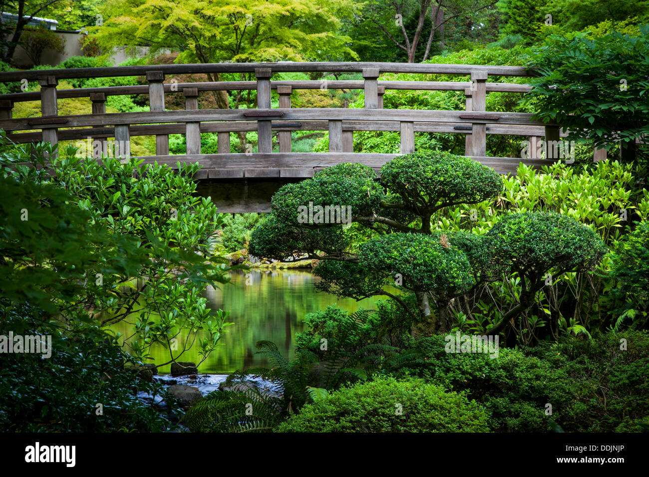 The bridge in the japanese gardens hi-res stock photography and images ...