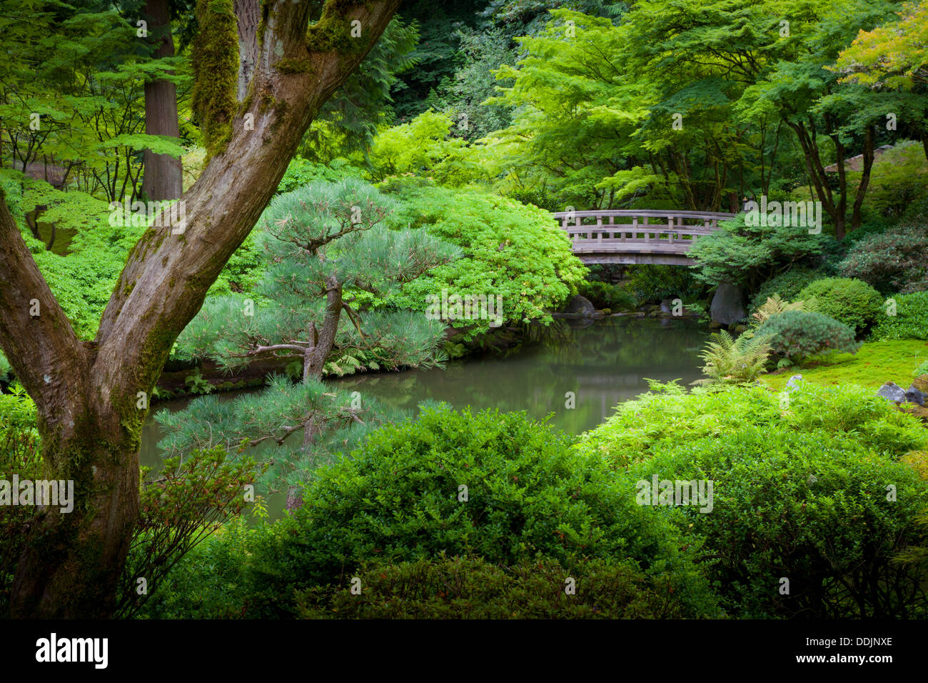 Japanese Garden, Portland Oregon, USA Stock Photo - Alamy
