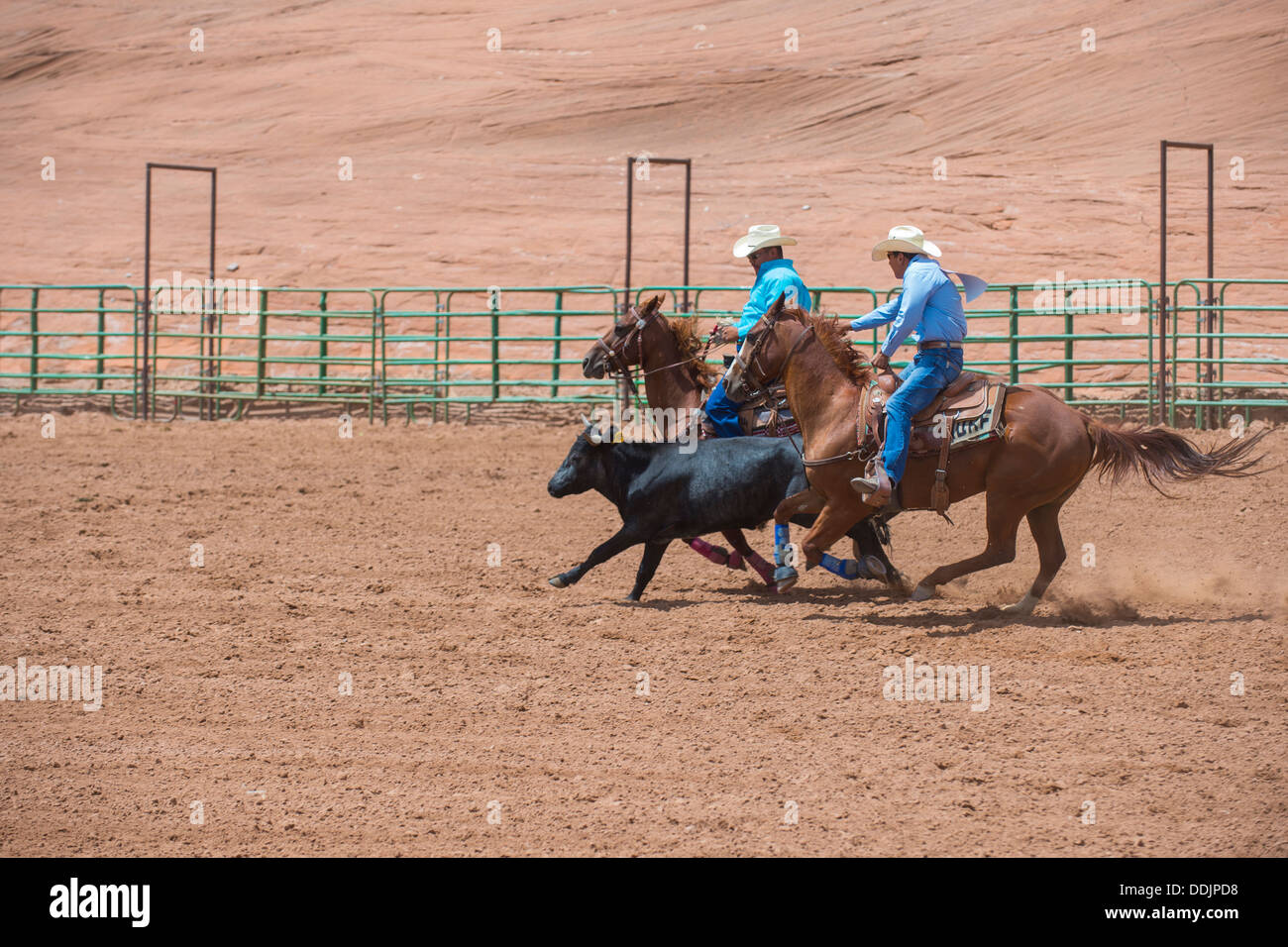 Cowboys Participates in a Steer wrestling Competition at the 92nd ...