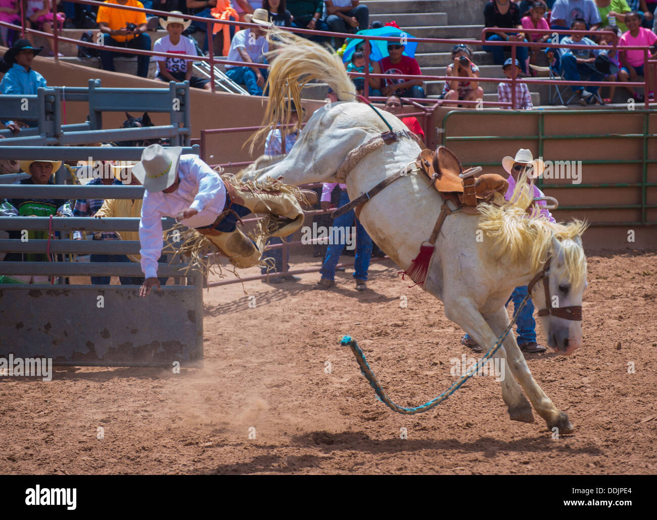 Cowboy Participates in a Bucking Horse Competition at the 92nd annual ...
