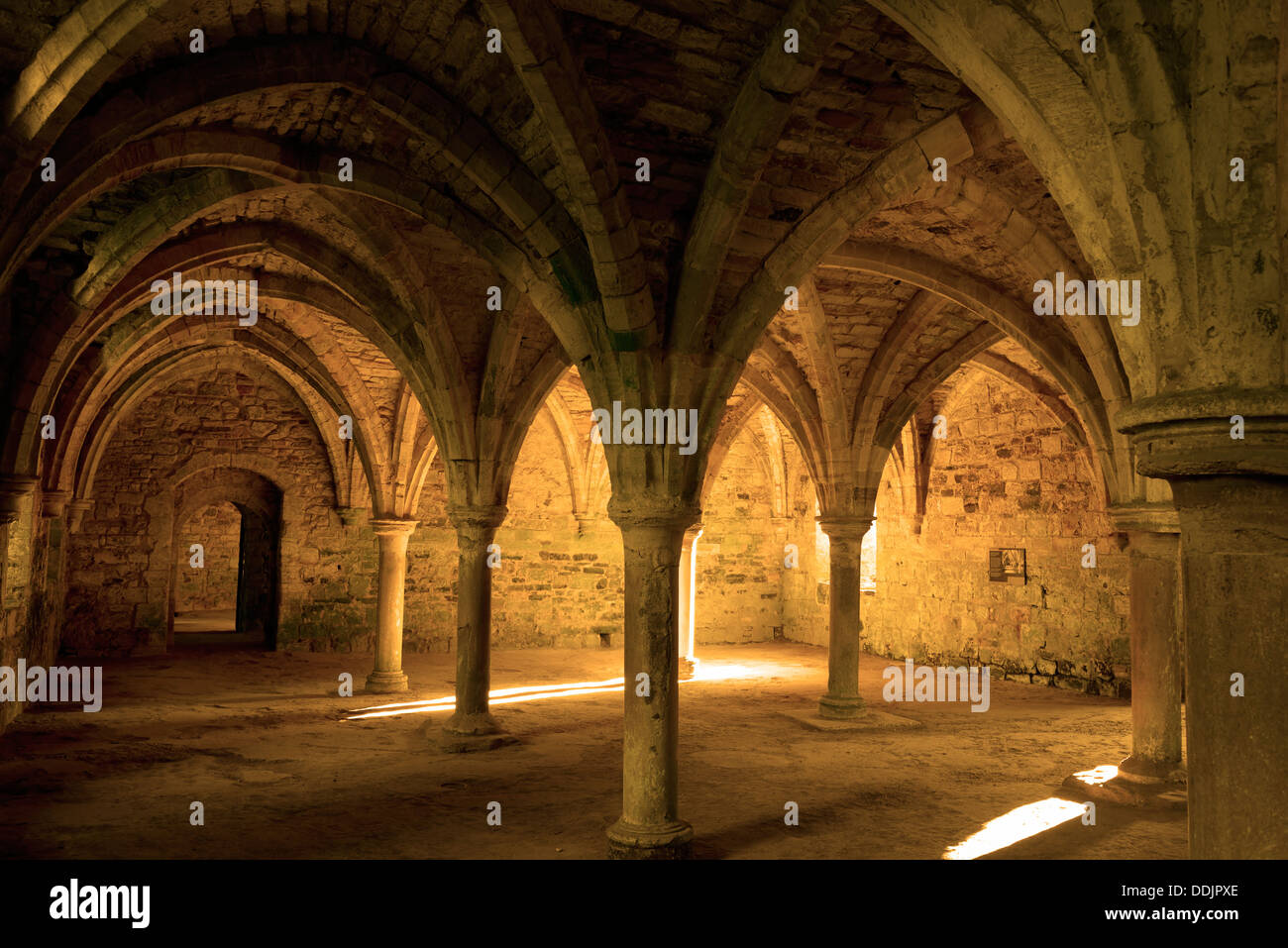 The novices common room, Monk's dormitory range, Battle Abbey, Battle ...