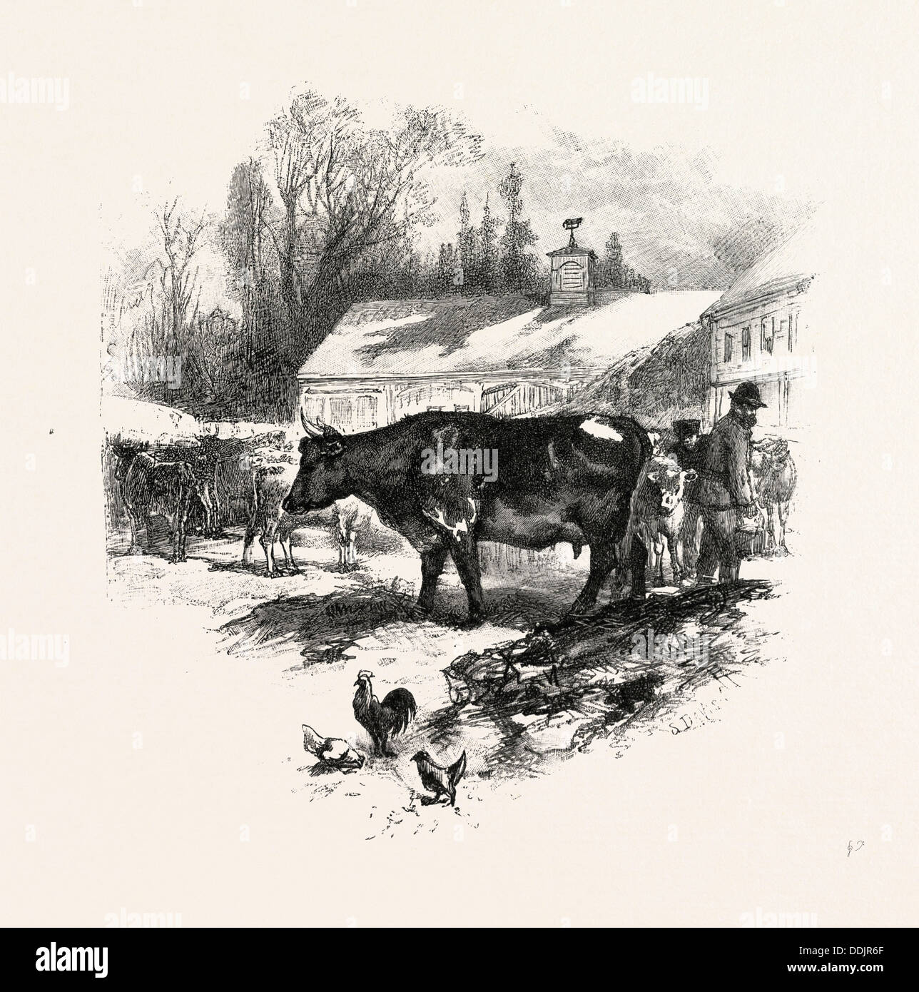 Canada farm 19th century hi-res stock photography and images - Alamy