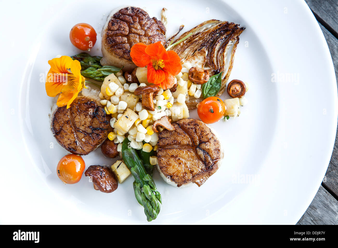 Full Plate of Seared Scallops Stock Photo - Alamy