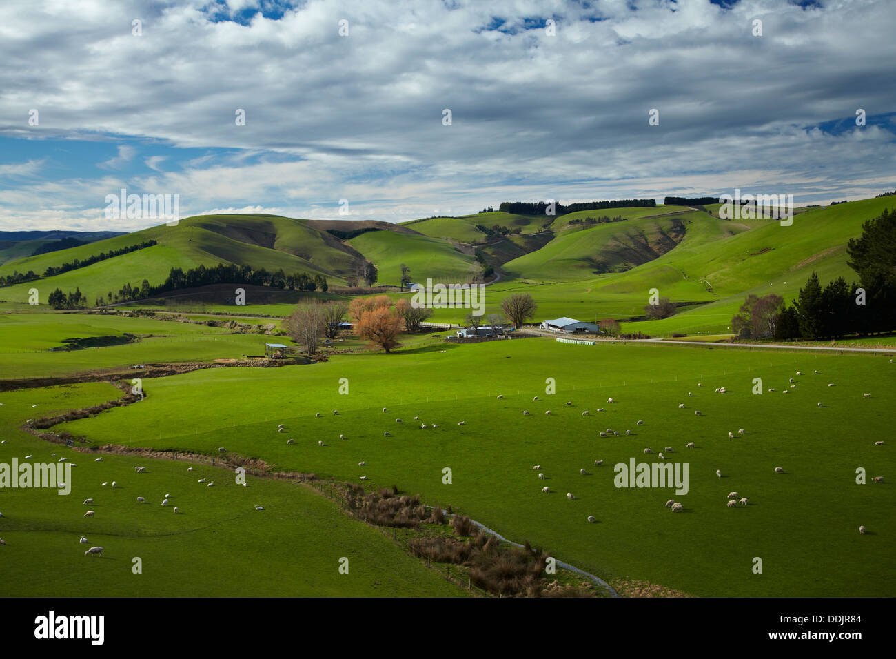 Woolsheds hi-res stock photography and images - Alamy