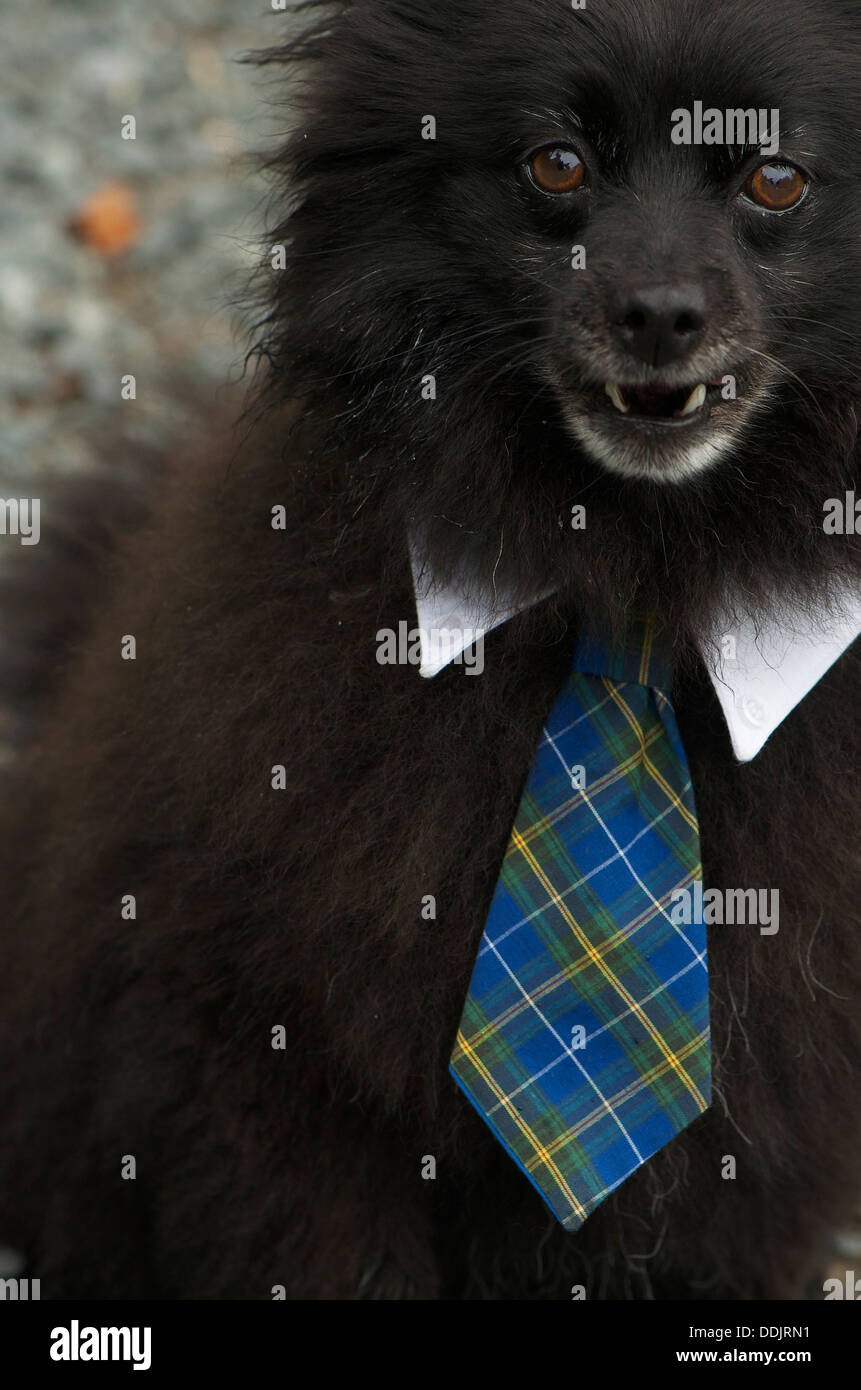 Unsure hi-res stock photography and images - Alamy