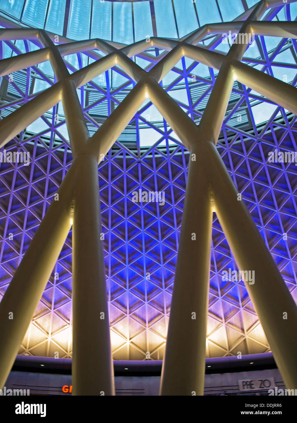 Detail of the steel lattice-work roof structure engineered by Arup, on ...